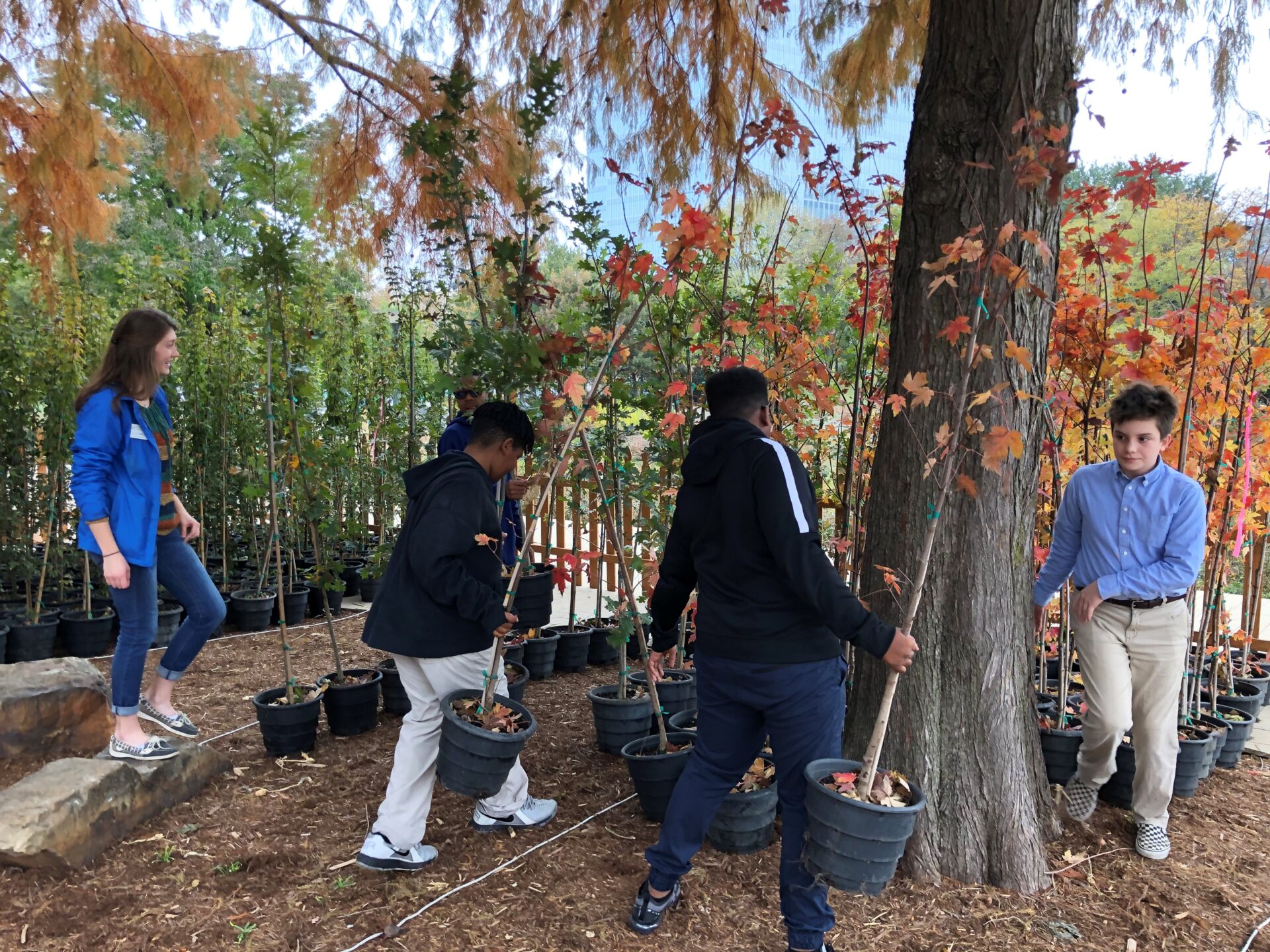 Tree for All - Myriad Botanical Gardens