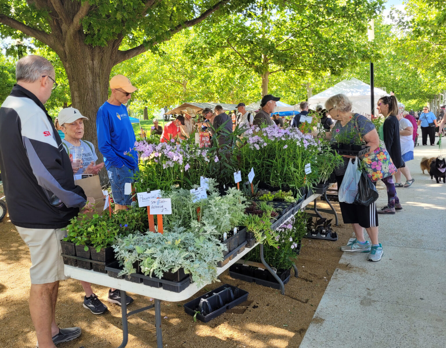 OKC Flower and Garden Festival - Myriad Botanical Gardens