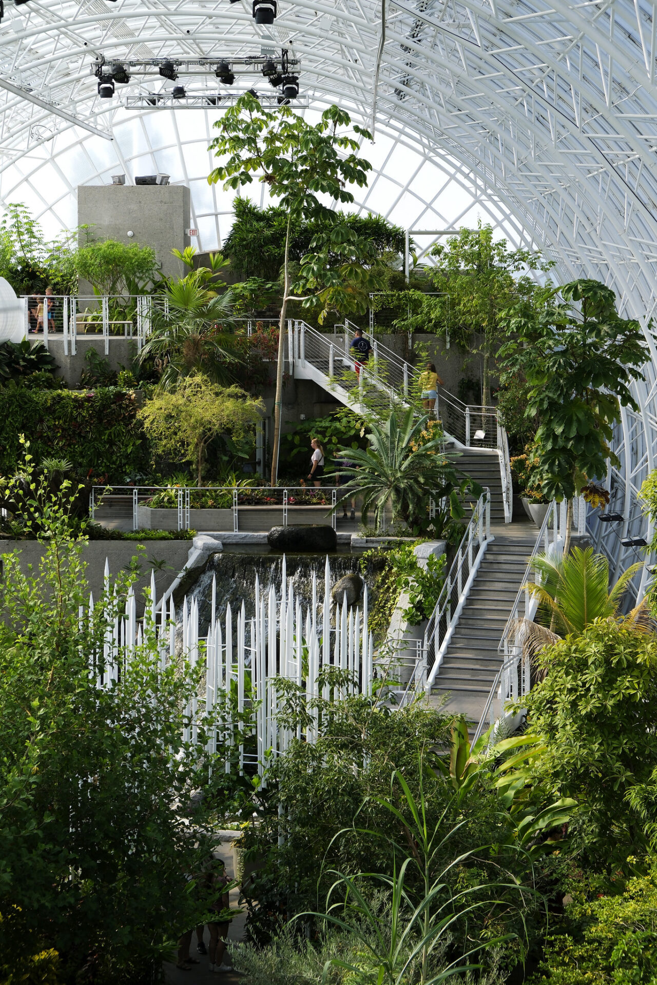 Crystal Bridge - Myriad Botanical Gardens