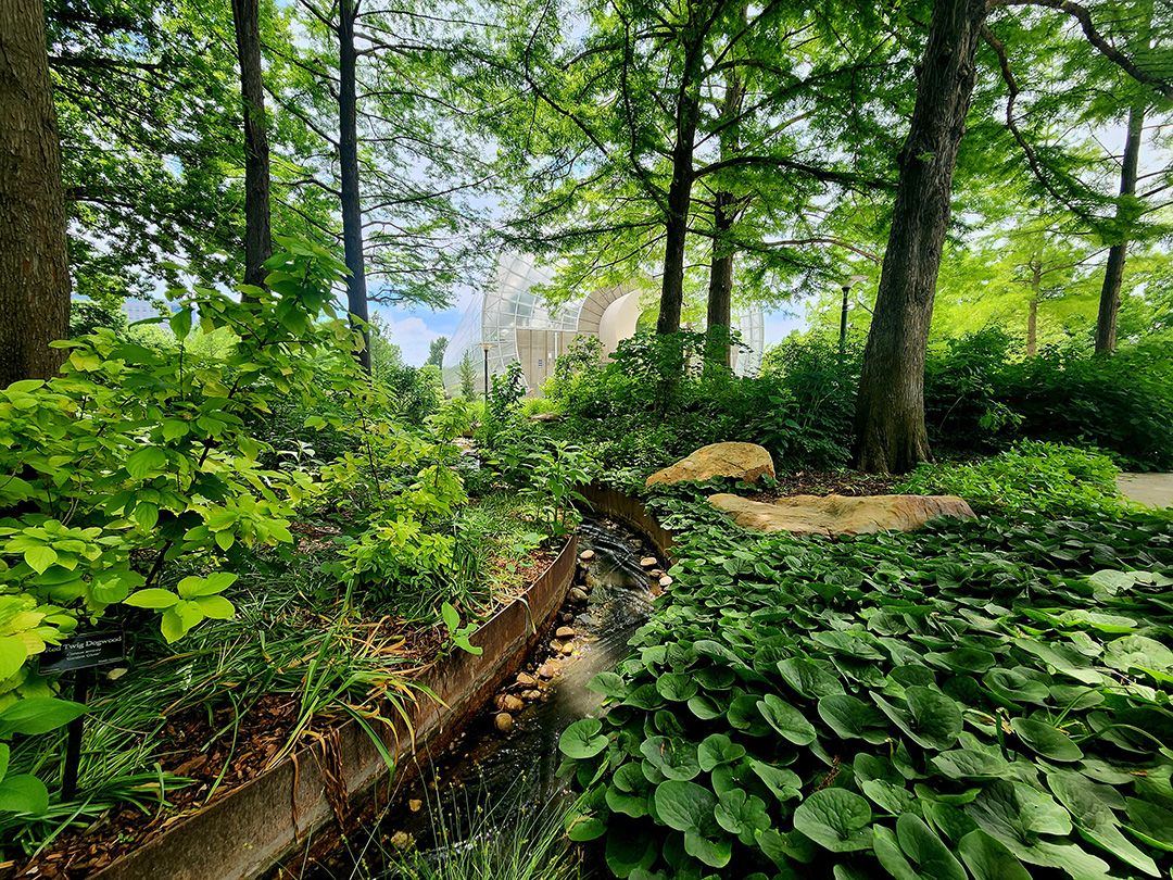 Home - Myriad Botanical Gardens