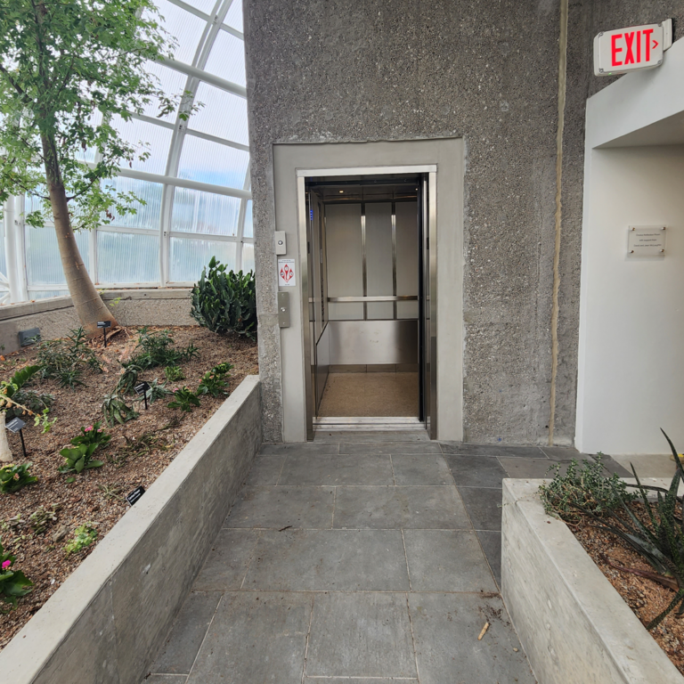 Crystal Bridge - Myriad Botanical Gardens