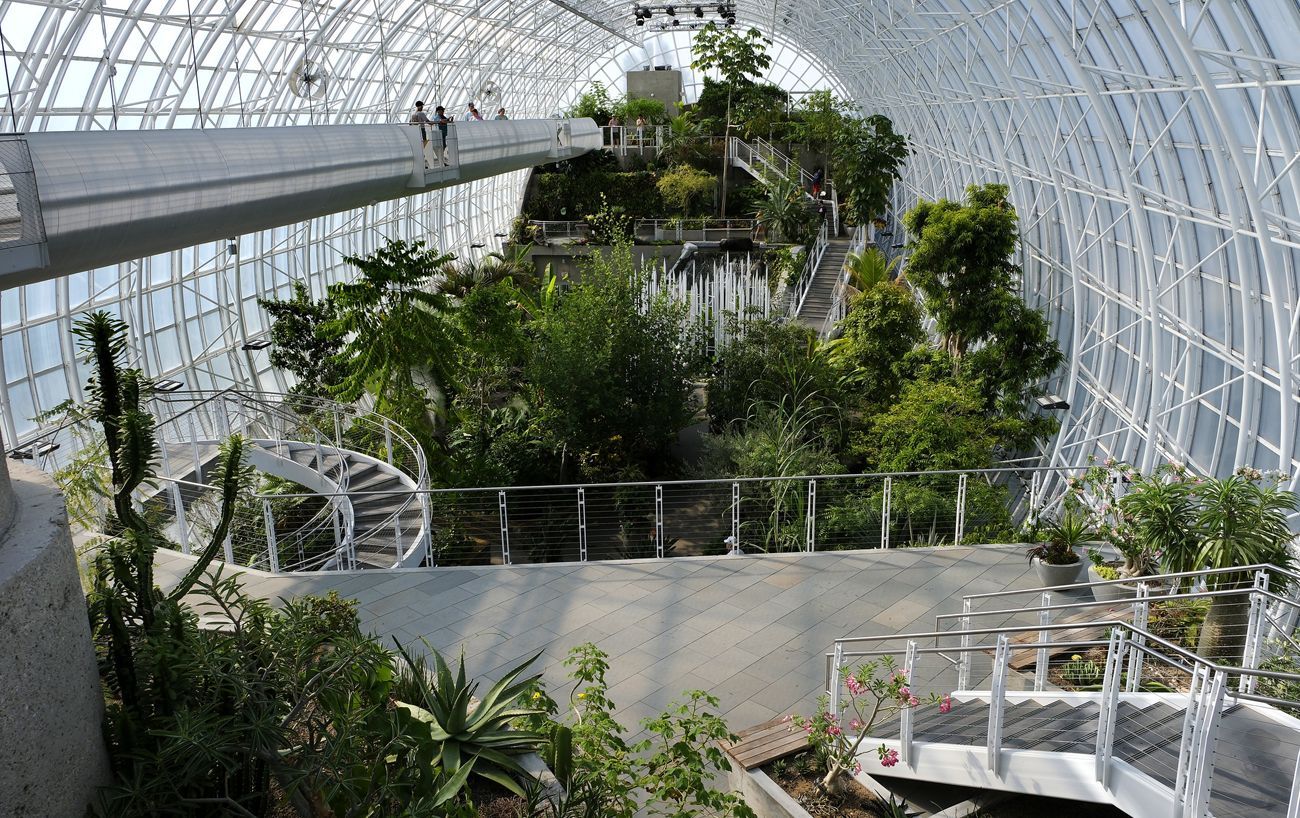 Crystal Bridge - Myriad Botanical Gardens