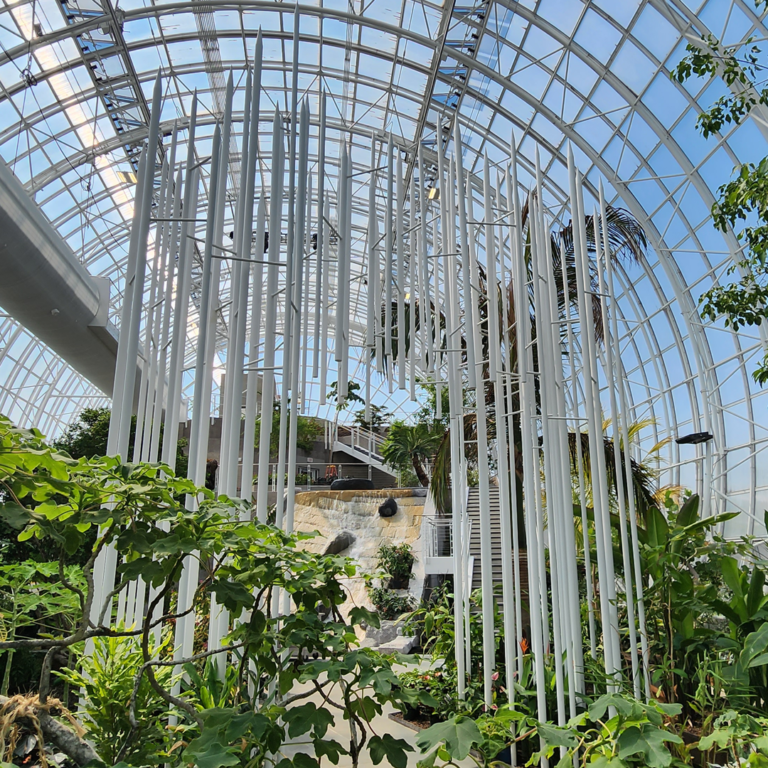 Myriad Botanical Gardens – A 15-acre natural escape in the heart of ...