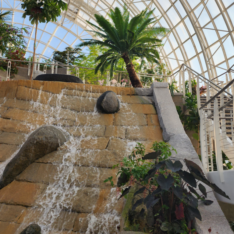 Crystal Bridge - Myriad Botanical Gardens