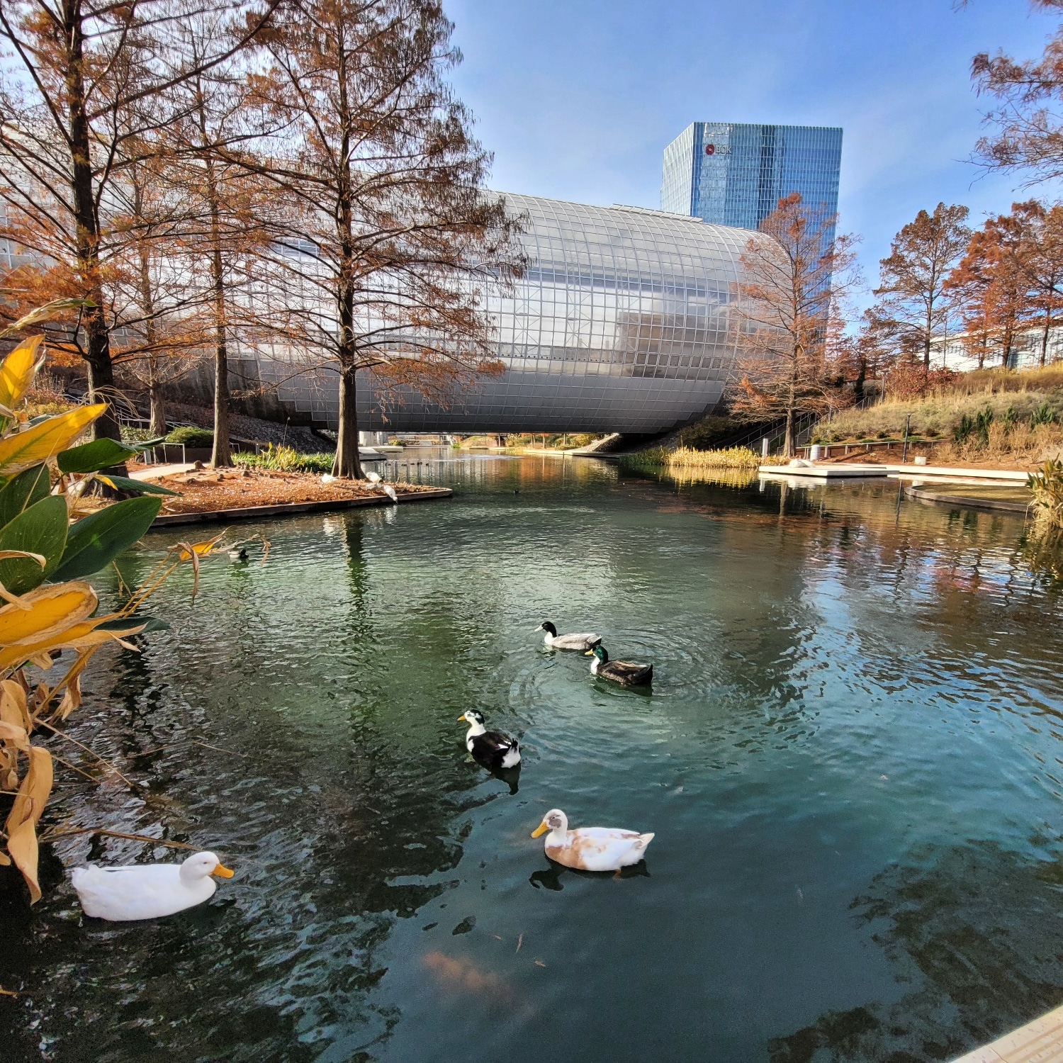 Visit Us - Myriad Botanical Gardens